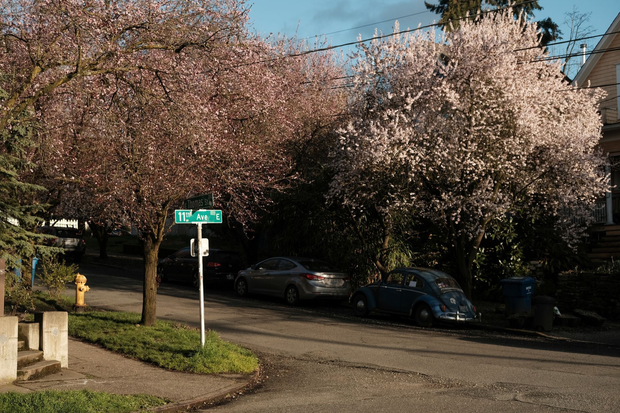 On the Streets: Spring in Seattle